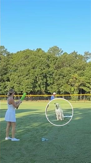 Baseball’s New Version of Fetch!
