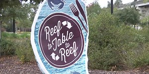 Oyster shell recycling program celebrates seventh anniversary with a multi-million dollar grant