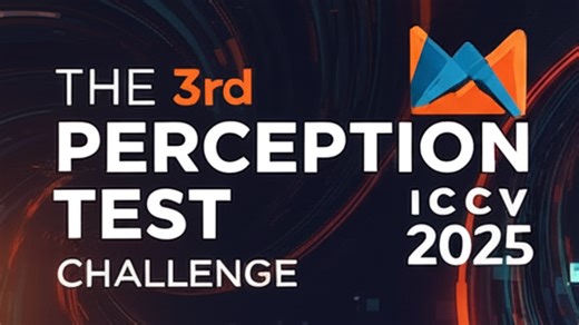 Interpretability Track - The Third Perception Test Challenge at ICCV 2025