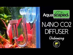 Nano CO2 Diffuser & Glass Lily Pipe Unboxing From Aquascaped