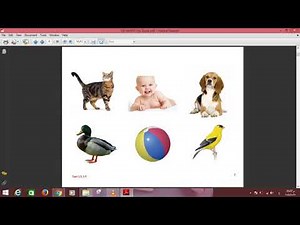 أدوات لتسهيل عملية التقييم من خلال VB-MAPP