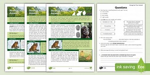 UKS2 Strange But True: Animals Reading Comprehension Activity