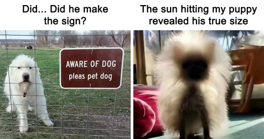 50 Uplifting Memes And Posts For That Daily Dose Of Positivity (New Pics)