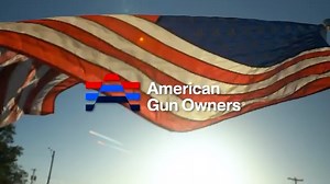 18K views · 248 reactions | American Gun Owners (AGO) is the...