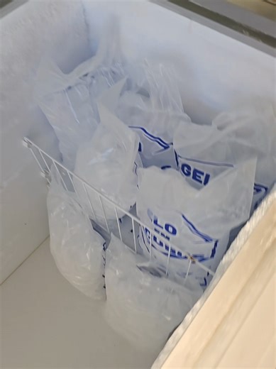 Consumo de Energia do Freezer: Medindo e Analisando