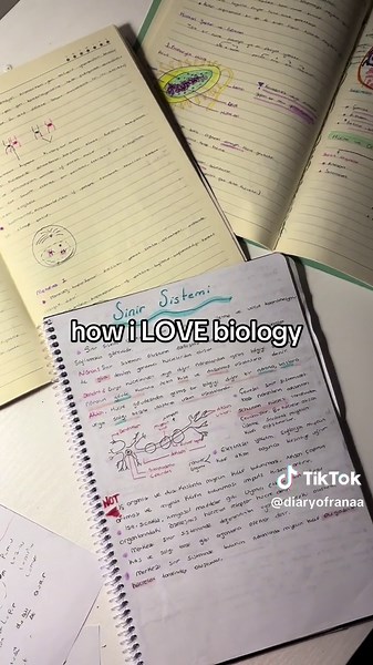 Do You Love Physics and Biology? A High Achiever's Study Journey