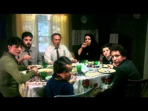 Three Reasons: My Life as a Dog