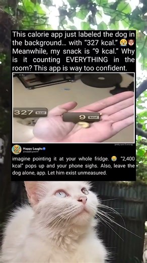 Funny Calorie App Mistake With My Snack and Dog
