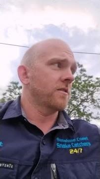 Didn't See This Snake Until the Last Second #shorts #wildlife #close encounter