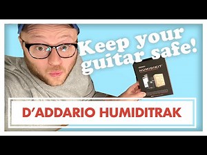 How to Humidify Your Guitar: Using the D’Addario Humiditrak System