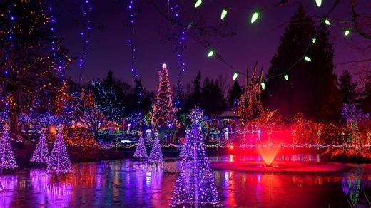 VanDusen Festival of Lights