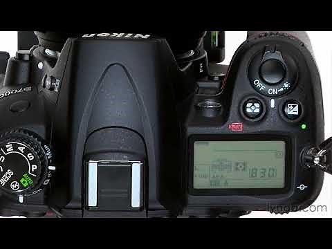 Nikon DSLR Tutorial - Using the autofocus modes