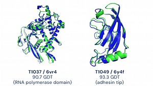 Major Scientific Advance: DeepMind AI AlphaFold Solves 50-Year-Old Grand Challenge of Protein Structure Prediction