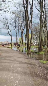 6.3K views · 53 reactions | Situacija u Obrenovcu pod kontrolom. Sve nadležne službe prate situaciju i za sada nema opasnosti od daljeg izlivanja kako Save tako i Kolubare. Situacija na svim nasipima se prate. Štab za vanredne situacije je u kontaktu sa kolegama duz sliva Save i izveštaji se prate iz sata u sat. Prema izveštaju RHMZ vodostaj Save je u stagnaciji sa tendencijom stagnacije naredna tri dana. Video : Anđela Lazić | Lokalne Novine Obrenovac | Facebook