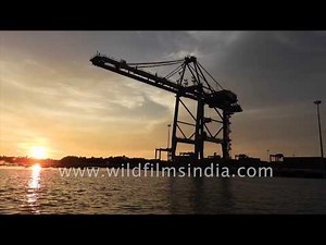 Cranes lift cargo that container ships bring to Kerala, through Kochi harbour
