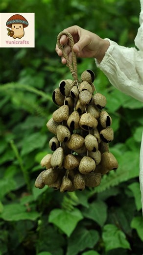 【Original Natural ASMR】The Real Sound of Wind Chimes with Seeds in the Wind｜Relaxation・Sleep Aid