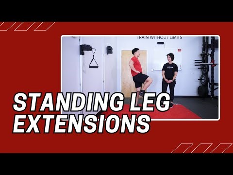 Standing Leg Extension | Cable Machine Exercise