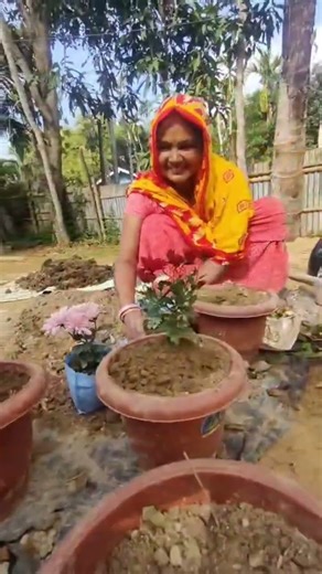 #shorts #viral #flowers