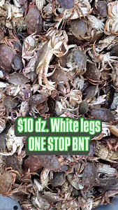 39 reactions · 4 comments | TOG WHITE LEGS, Friday, Saturday, and...