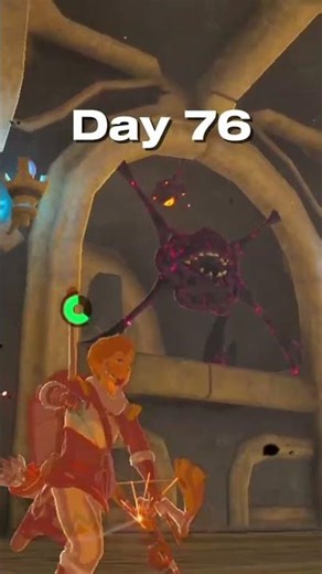 Day 76 #100 #zelda #daily