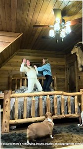 bed breaking fails____________ | Ali cheeser