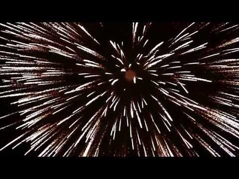 12" Inch Shell - Bianco White - 300mm