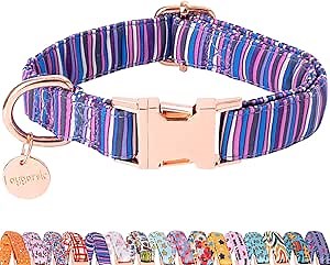 Faygarsle Colorful Striped Pattern Dog Collar for Small Medium Large Dogs Cute Puppy Collars for Female Dogs for Summer Spring Wedding Necklace Girl Dog Collar S
