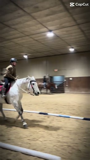 My first jumping lesson on goose she did so good!!!