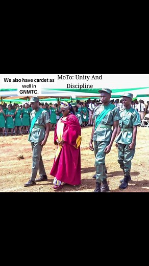 School life on TikTok