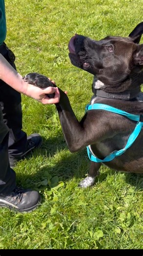 110K views · 2.4K reactions | We have a very special girl here at our...