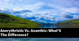 Anerythristic Vs. Axanthic: What'S The Difference? - My Reptile Blog