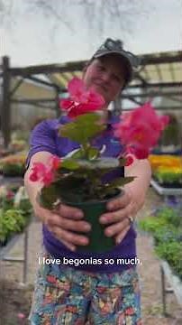 Annuals for Everywhere | Gardener's Favorite Annual Combinations for Sun and Shade