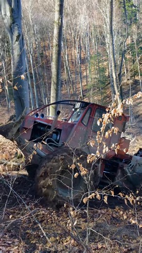 Logger work 🌲🚜🪚🥾🪵 . . .​ #loaderman559 #woodwork #loggers #woodworking #workhardplayhard #forestry #blackandwhite #hardwork #trees #tbt #hilights #tbt #logging #usa #oldschool #history #logginglife #logger #stihl8661 #historicalphotos #thenandnow #conservation #foodforthought #industrialrevolution #tbt #heritage #americana #oldwest #PioneerSpirit | Sander Young