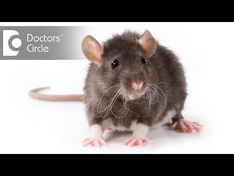 Can rodent bite lead to Rabies & its management? - Dr. Sanjay Gupta