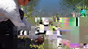 28K views · 1.3K reactions | What a great story to share on World...