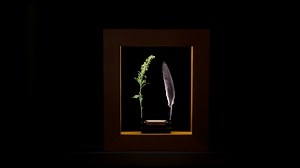 Watch Slow Dance is a picture frame that makes real objects appear to move in slow motion. on Amazon Live