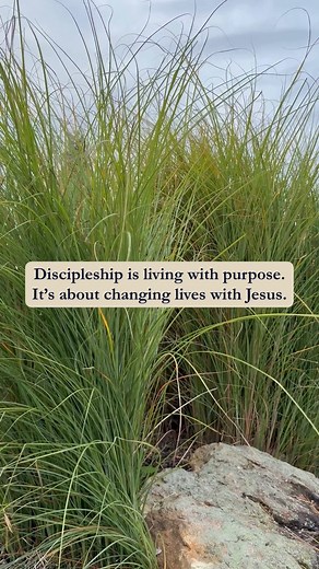 Discipleship is about helping others walk with Jesus and that’s where lives start to change. One conversation, one prayer, one step at a time. #divinesaviorchurch #dsc #divinesaviorfamily #changingliveswithjesus #disciple #disciplesmakingdisciples #discipleship | Divine Savior Church