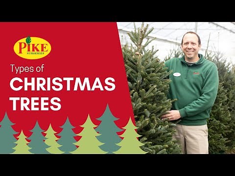 Christmas Tree Types