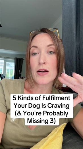 5 Types of Fulfilment Your Dog Needs for Happiness