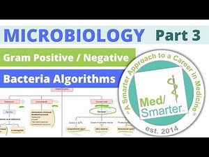 USMLE Step 1 | Microbiology | Bacteria Algorithms | 3 of 3