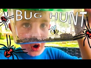 BUG HUNT for REAL Bugs! BUMBLEBEE, Spiders, Roly Polys, EARWIGS, Cockroach, WORMS & MORE for KIDS!!