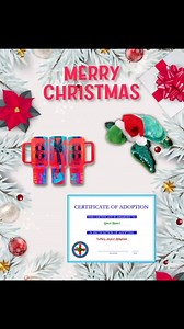 Turtley Joyful adoptions available NOW while supplies last! https://seaturtlehospitalstore.com/products/adoption-turtley-joyful | The Turtle Hospital