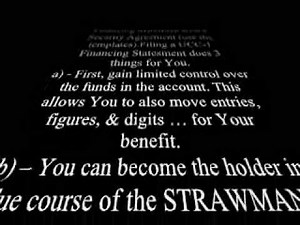 Dario Busch 2012 Strawman Freedom Sovereignty UCC1