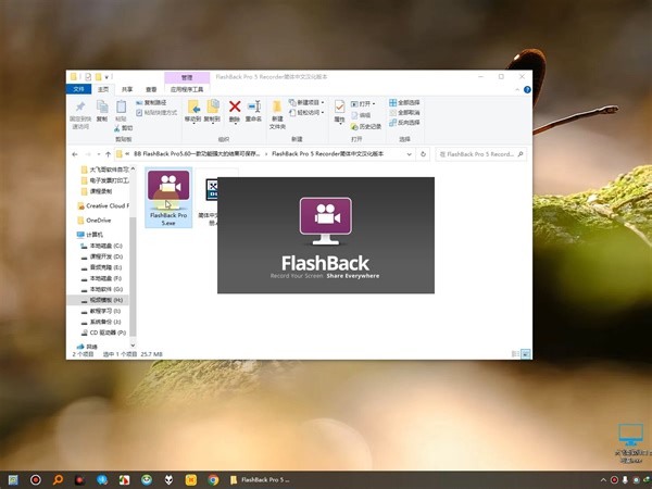BB FlashBack Pro5.60一款功能强大的结果可保存为 Flash或视频文件屏幕录制软件