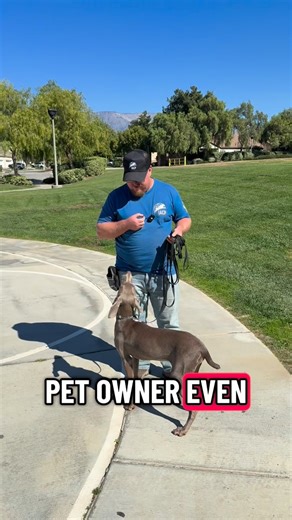 Our latest training video is LIVE! 📹 This week, we’re diving into the essential “Come” command. 🌳👥 Learn how to practice recall like a pro with long lines at park! 🐾💪 Let’s build a stronger bond and a more reliable recall! 💕 #dogtraining #recall #dogparents #dogcommunity | Enlighten Dog Training