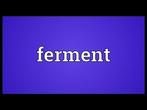 Ferment Meaning