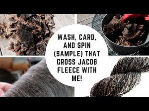 How To Wash A Fleece (Jacob) the EASY Way for Longdraw/Woollen Spinning!