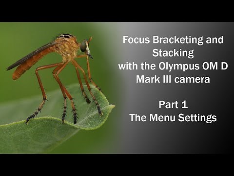 Focus Bracketing and Stacking with the Olympus Mark III Camera - Part 1- The Menu Settings