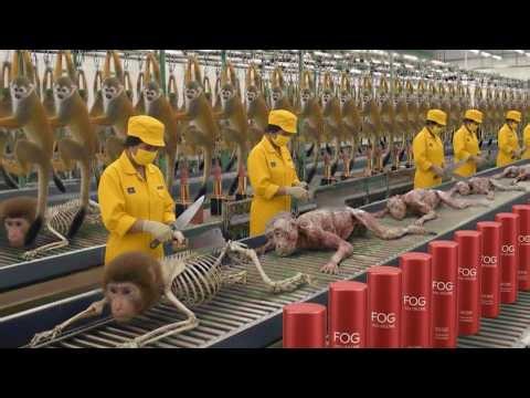 From Processing to Premium Spray Inside a 2026 Advanced Luxury Factory