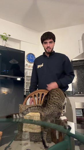 Sebt Ana Kol El Sonia: A Music Journey